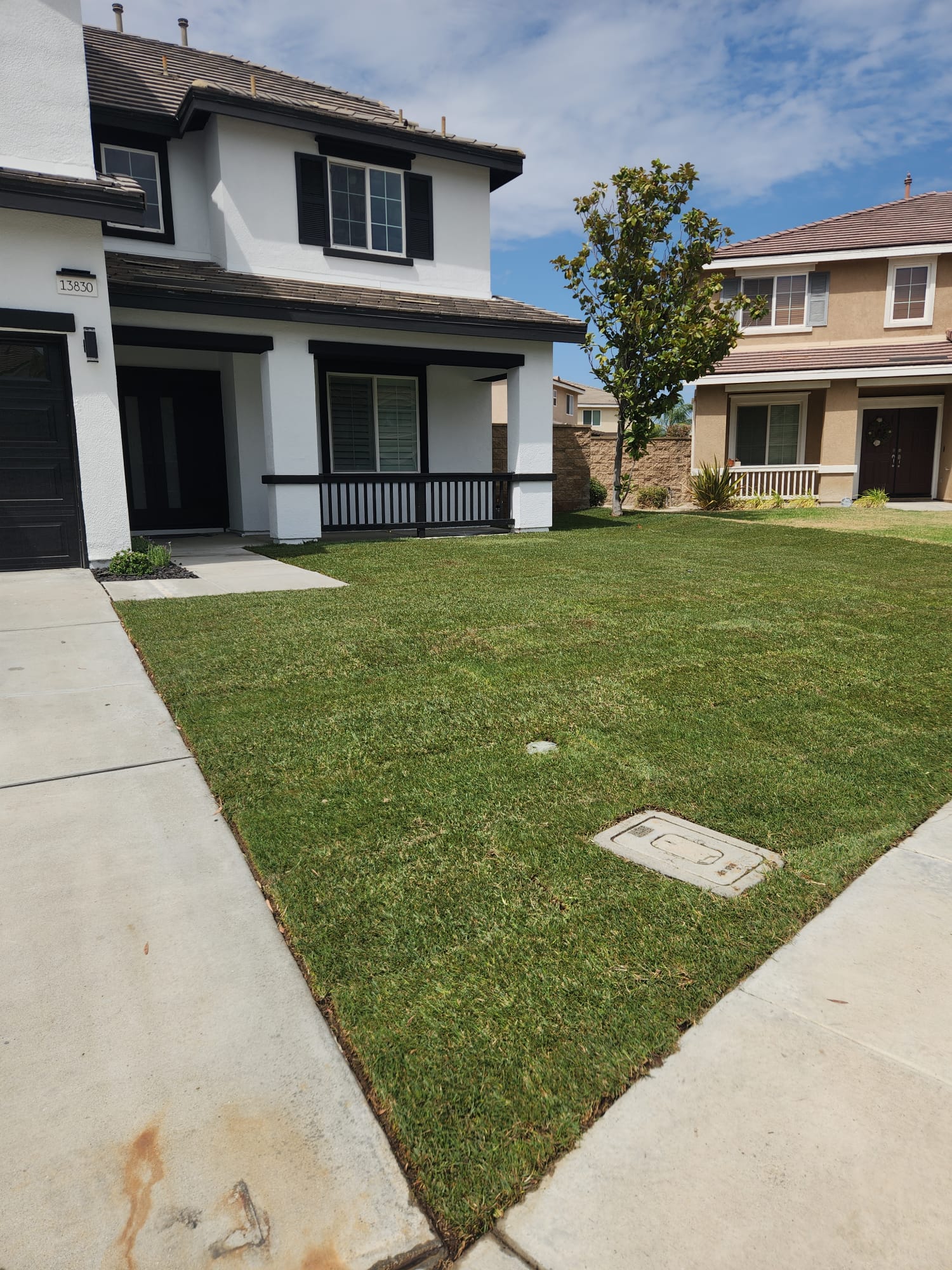 Complete Guide to Installing and Caring for Natural Grass - Nicolas ...